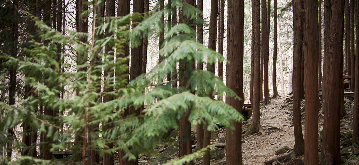 한식 읽기 좋은 날